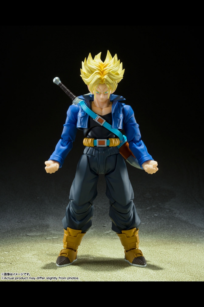 S.H.Figuarts Dragon Ball Z Super Saiyan Vegeta-Awakening Super Saiyan ...